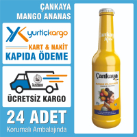 Çankaya Gazoz Mango Ananas 250 ml (24 adet)