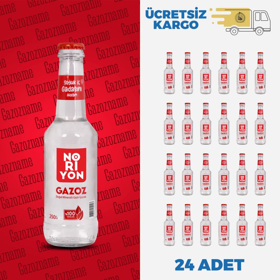 Nörüyon Gazoz 250 ml (24 adet)
